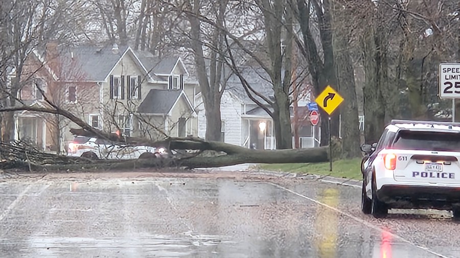 Severe storms tear across Mid-Michigan