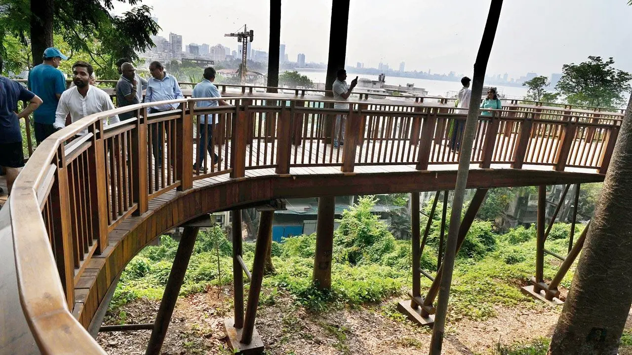 Mumbai’s new elevated nature trail opens at Kamala Nehru Park in ...
