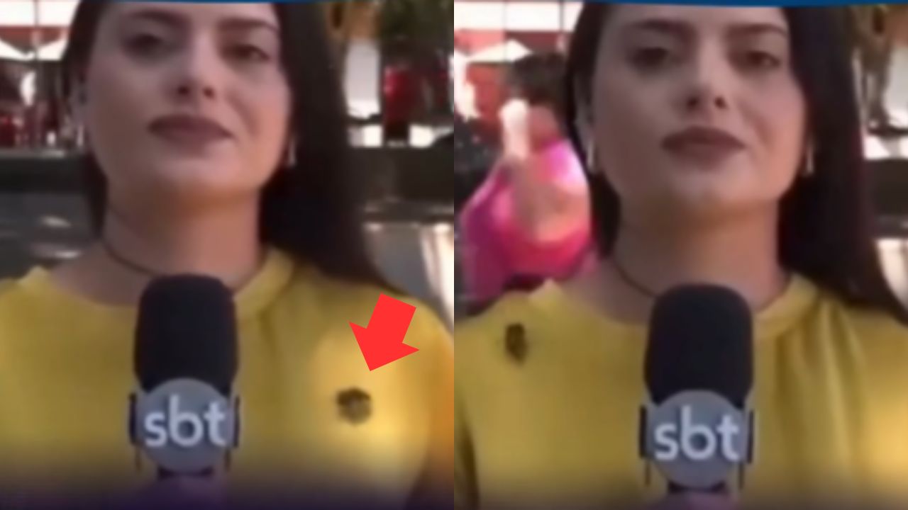 Cockroach walks over Brazilian reporter, and the scene goes viral on ...