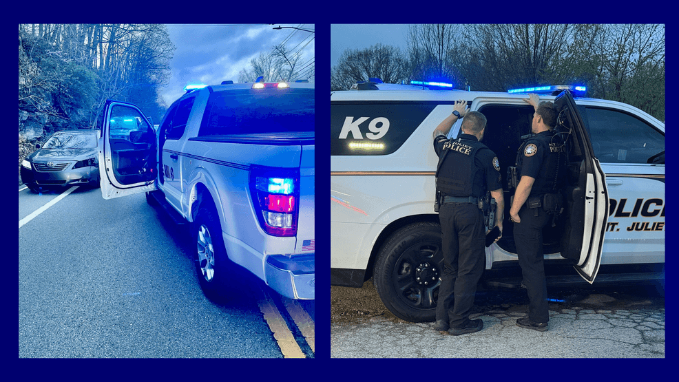 Nashville teen charged with attempted homicide after targeting Mt ...