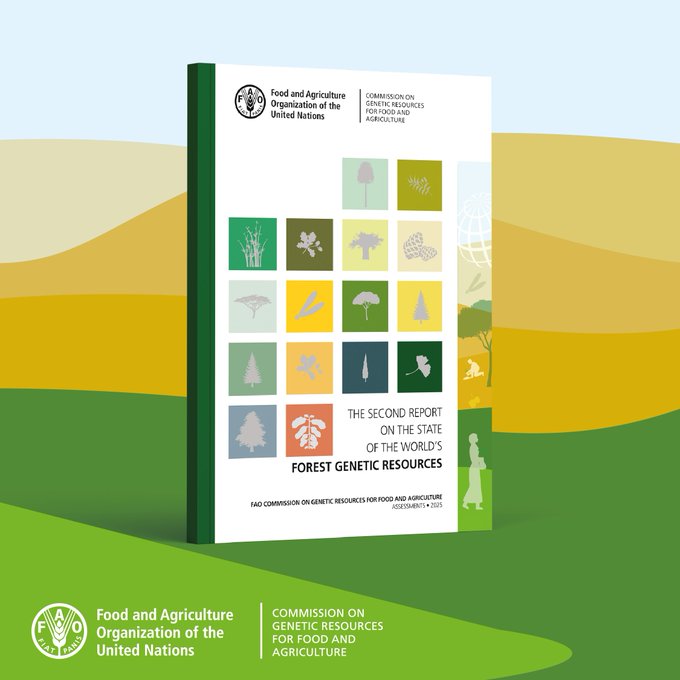 Studies Reveal World's Genetic Diversity of Plants, Forests at Risk