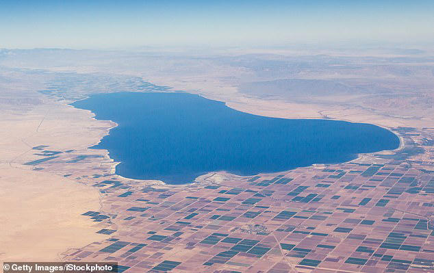 California's Salton Sea races against time after $540billion discovery