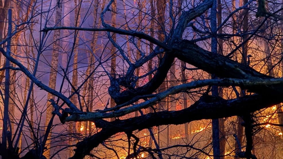 LIVE UPDATES (March 30): Alarka Five Fire now 37% contained at 1,511 acres