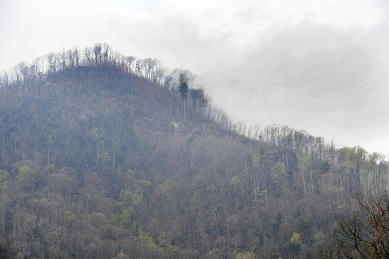 Live wildfire updates: Table Rock Complex fire grows to 11,000 acres, 9 ...