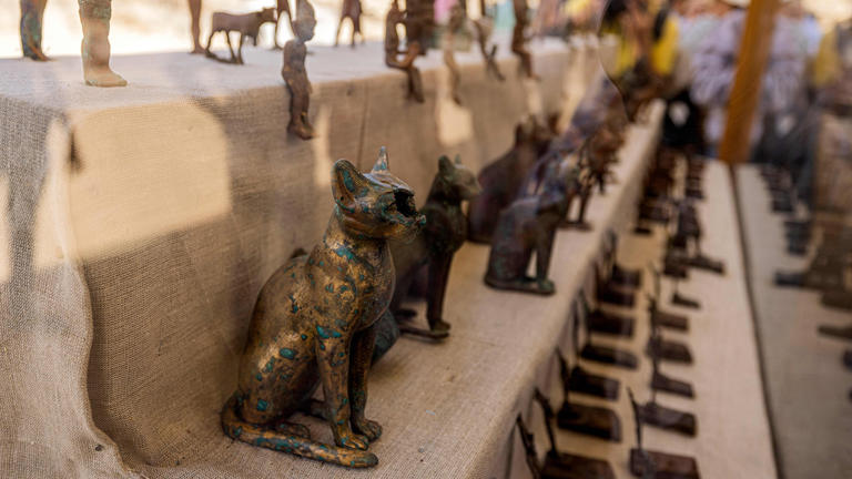 The history of cat domestication