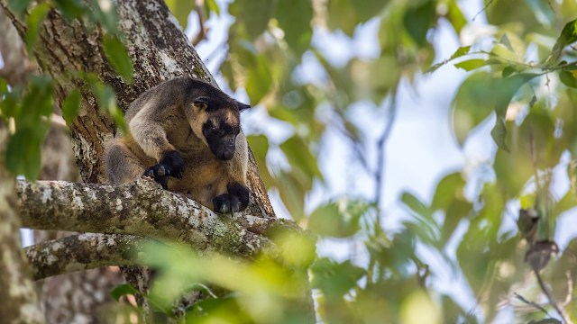 Researchers make astonishing breakthrough after drone mission reveals ...