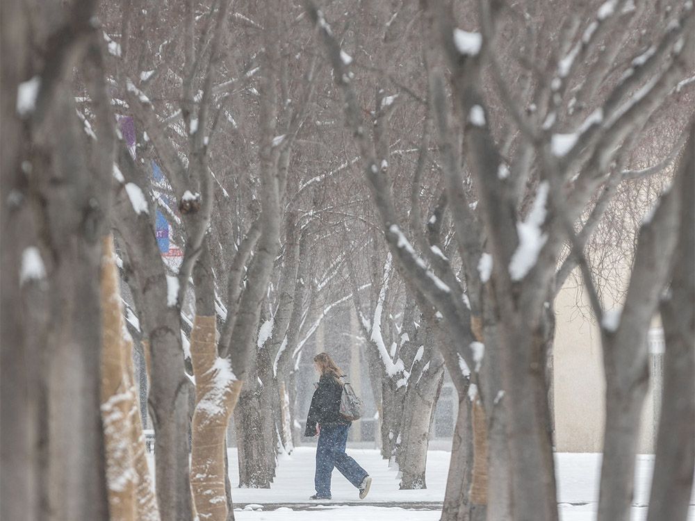 Snowfall warning ends for Calgary and surrounding area