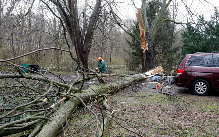Storm downs trees and powerlines, as tens of thousands remain without power