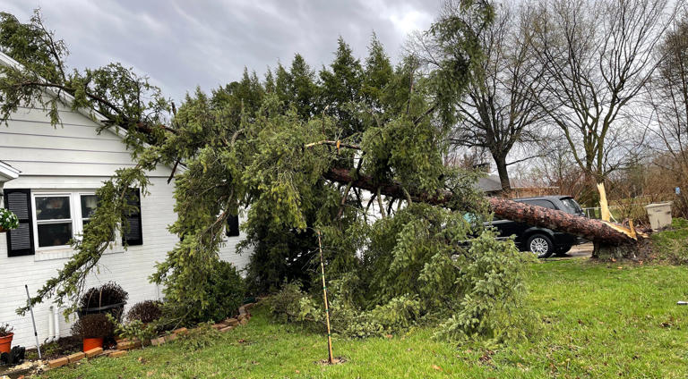Pictures and video of the storm damage throughout Michiana