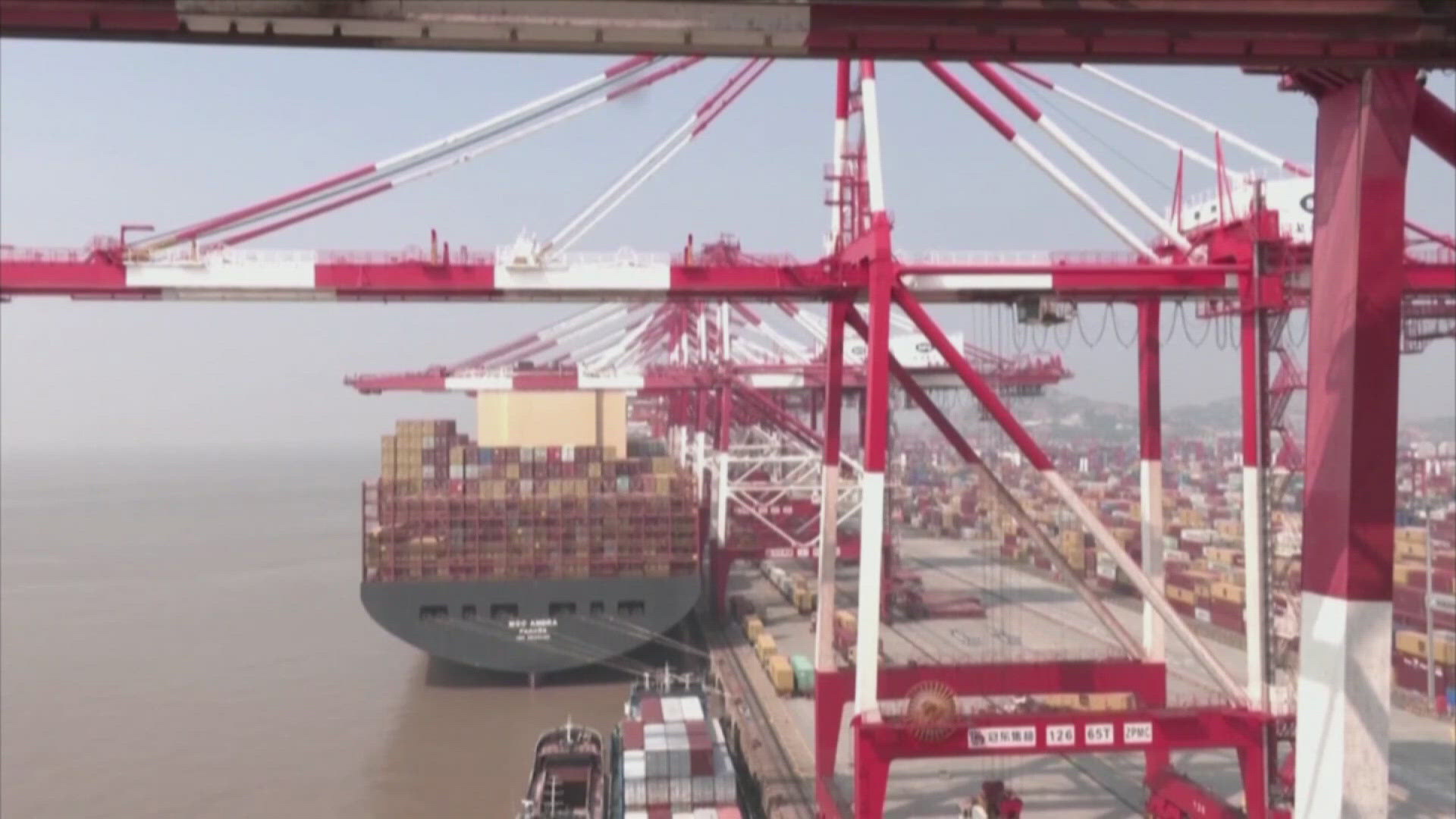 Economic anxiety among economists as Trump tariffs set to go in effect