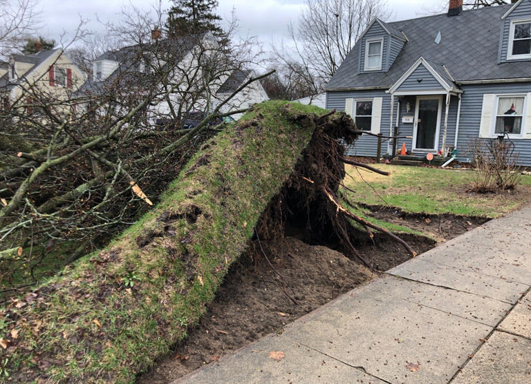 Storm downs trees and powerlines, as tens of thousands remain without power