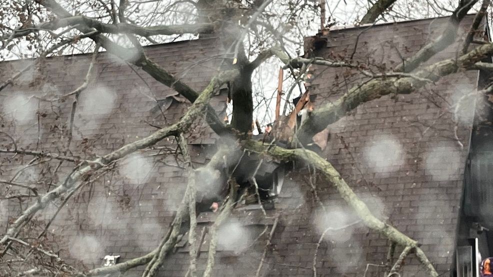 GALLERY: Strong storms with 'destructive' winds hit West Michigan
