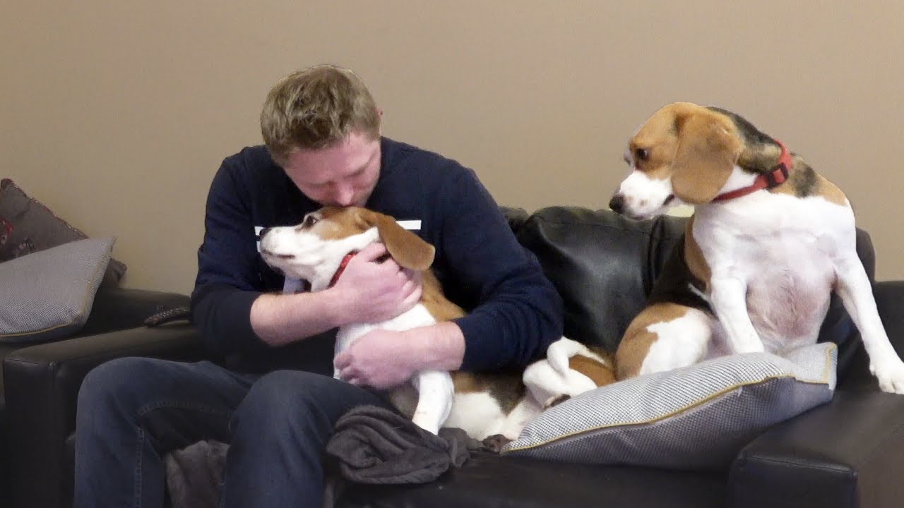 Jealous Dog Reacts to Being Ignored