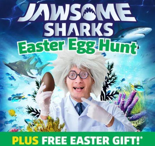 Half Term fun for all the family in Blackpool!