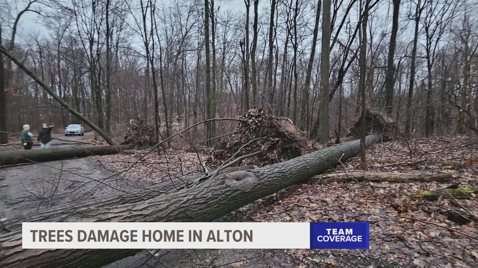 Falling trees damage West Michigan home