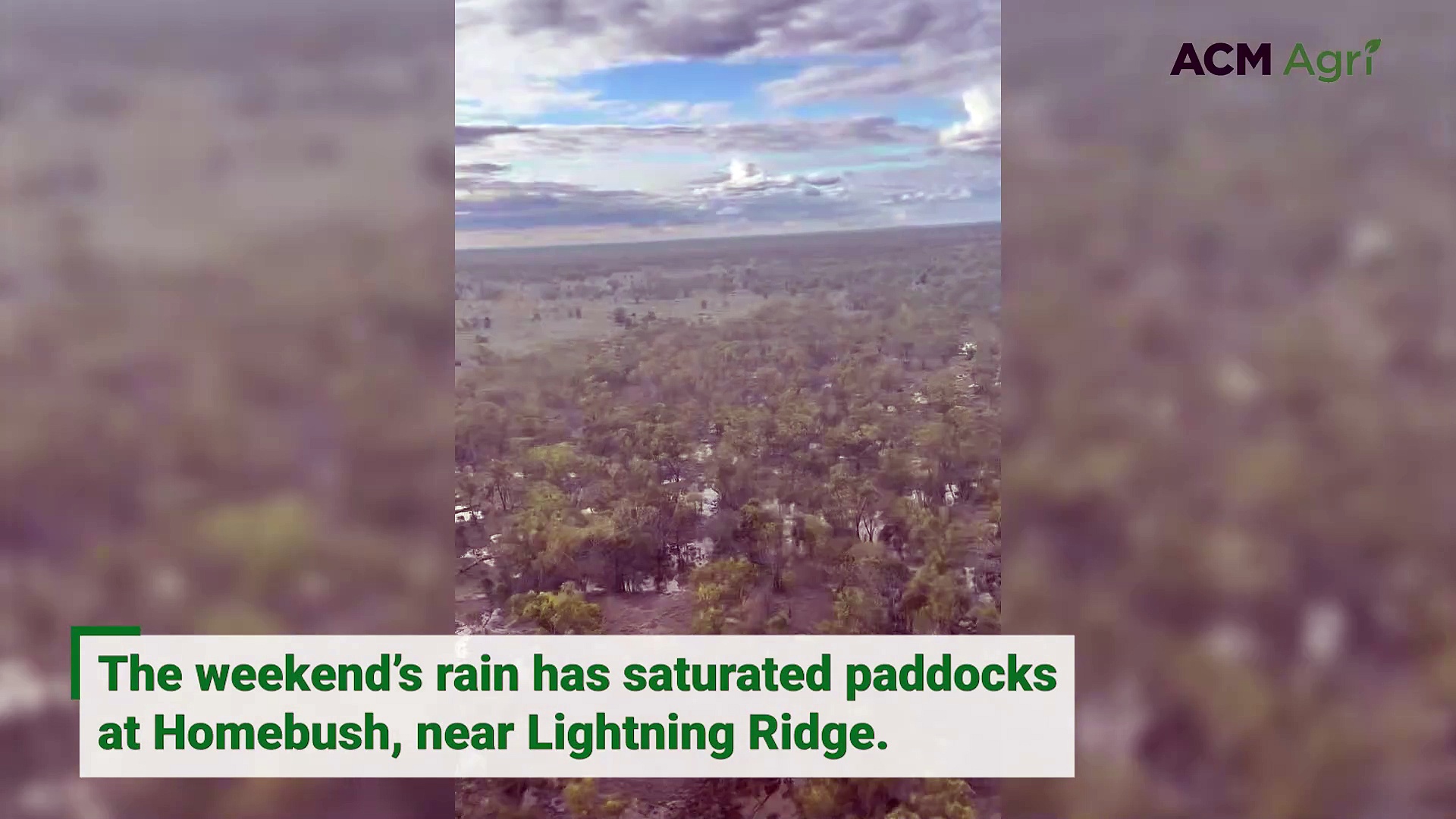 Big weekend rainfall sets the stage for solid winter crops in ...