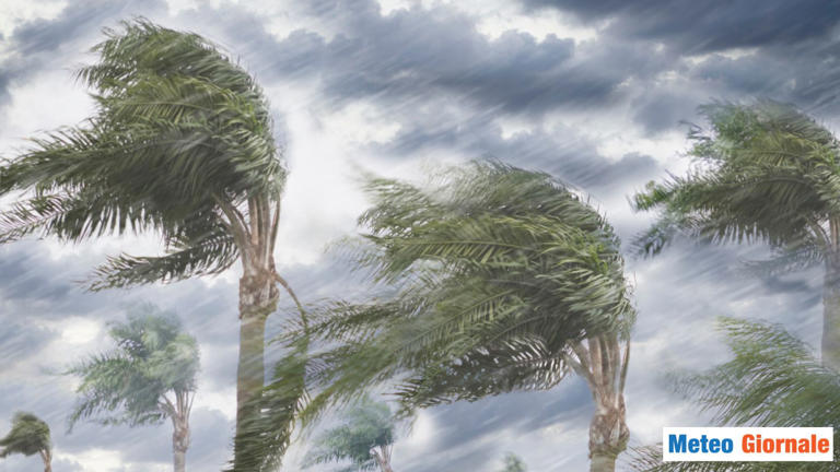 Meteo 31 Marzo 2025: venti fortissimi in arrivo dal Nord e allerta gialla in diverse Regioni