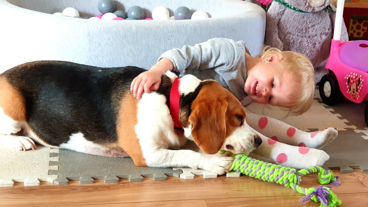 Baby life improves with dog friends around
