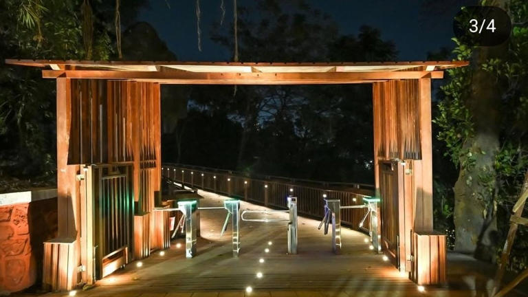 Mumbai's first tree top walk at Malabar Hill opens to visitors: Check ...