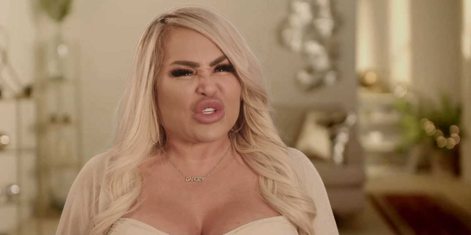 90 Day Fiancé's Darcey & Stacey Silva Celebrate Game-Changing Career ...