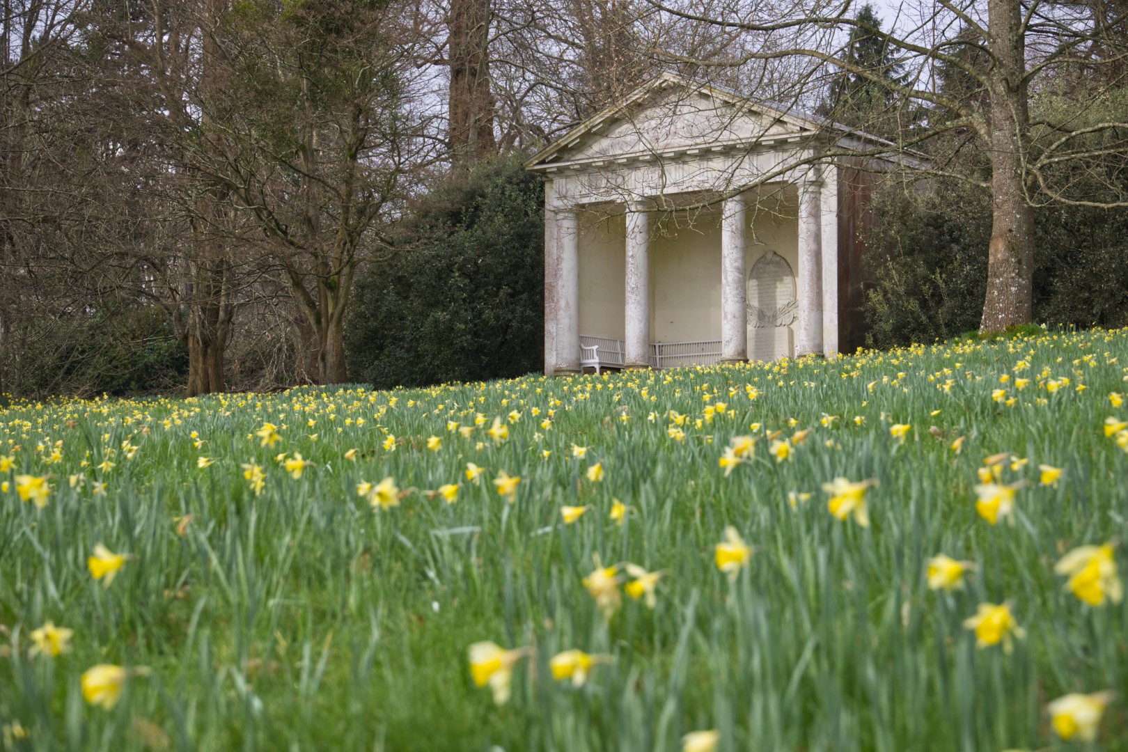 Spring Festival at Petworth House and Park to mark new season