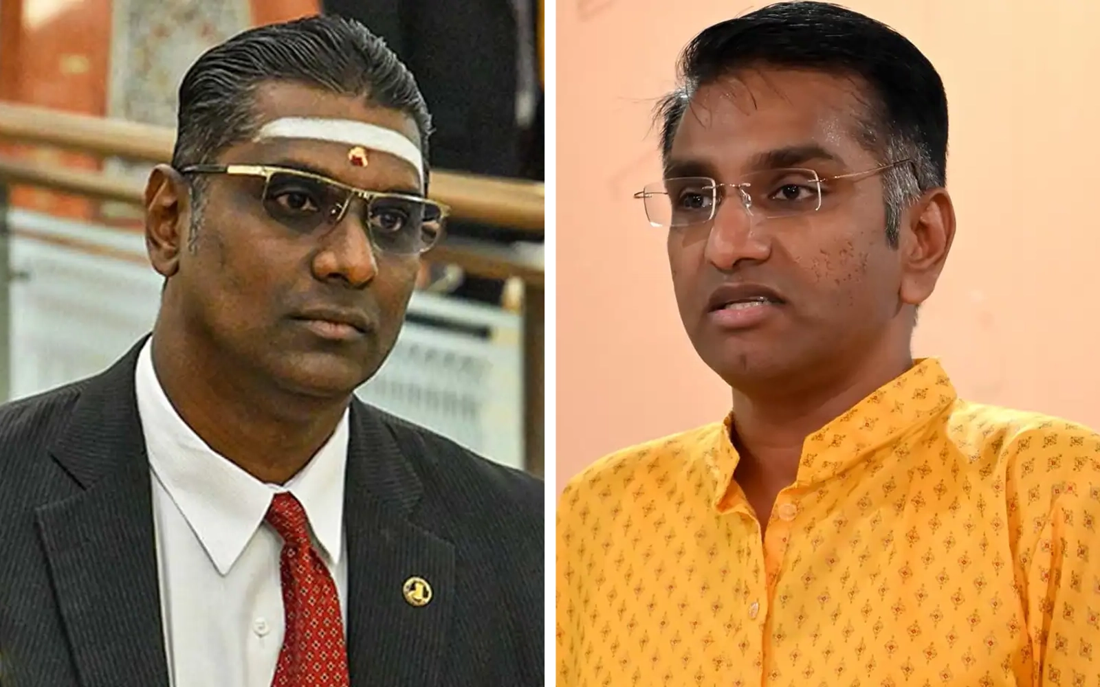 We’ll let party decide on control of Hindu endowments board, say DAP duo