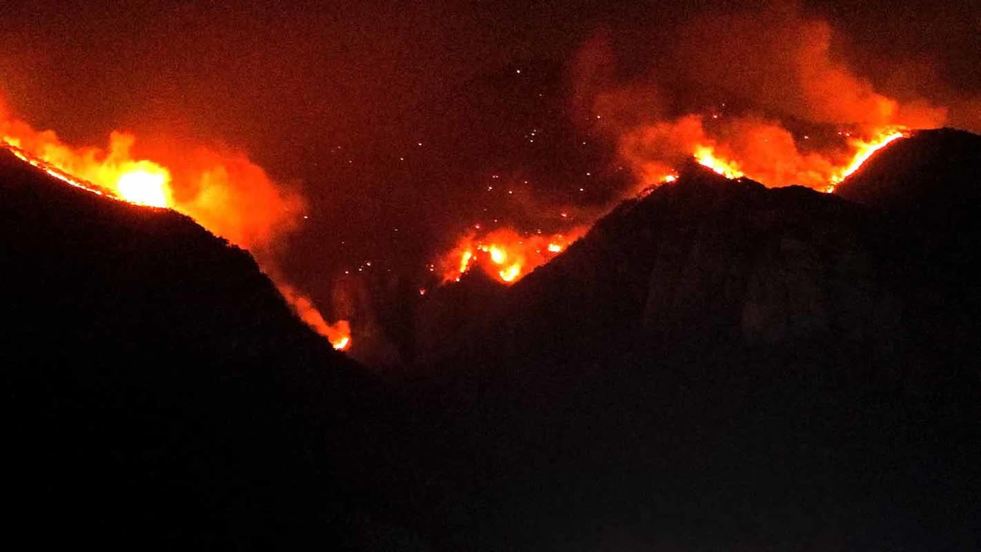 全て「人為的ミス」が原因…3万6,009ヘクタールが消失した過去最大規模の山火事、死傷者56人