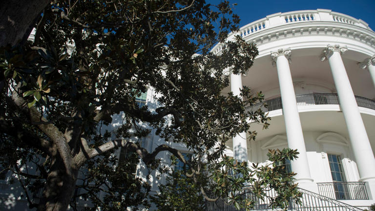 Trump va abattre le magnolia historique de la Maison Blanche qui ...