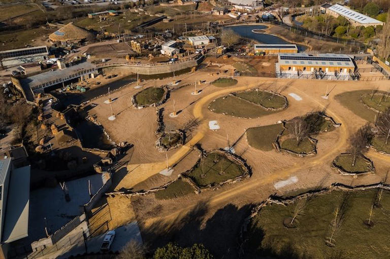 What's been going on at Chester Zoo so far in 2025 - and what's still ...