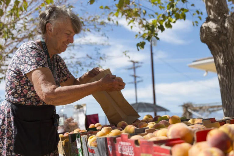 'Like a cathedral in the desert': McDonald Peach Orchard makes comeback ...