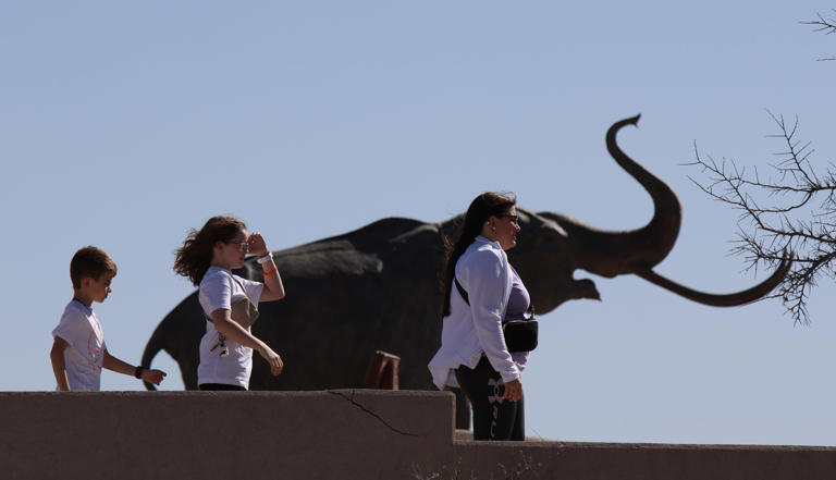 Lubbock Lake Landmark offers archaeological digs, look into where city ...