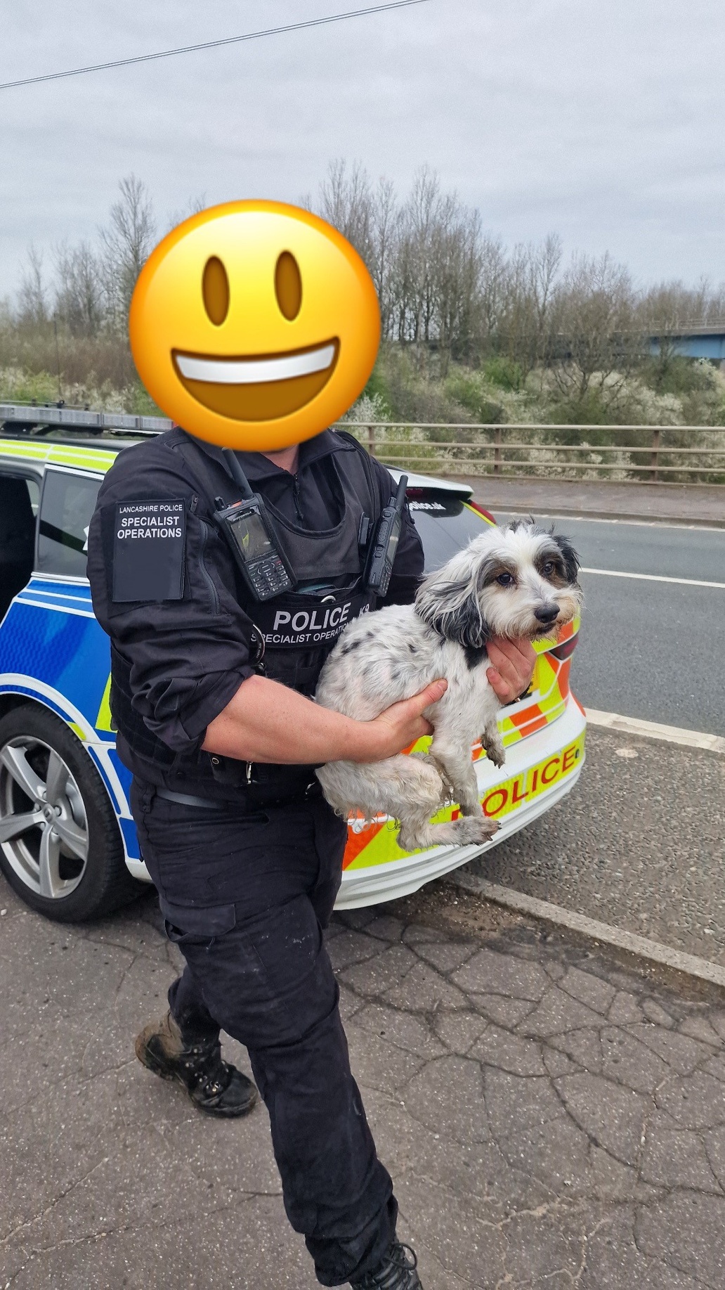 Lancashire Police successfully rescue a dog that was loose on the M6 ...
