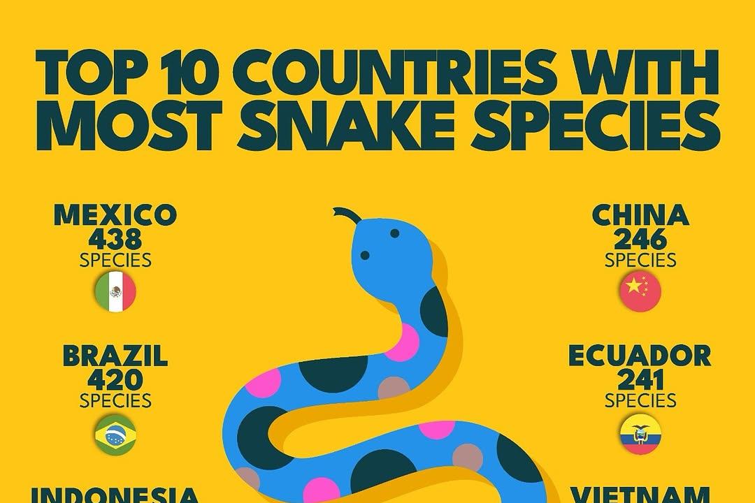 Top 10 countries with the highest snake species