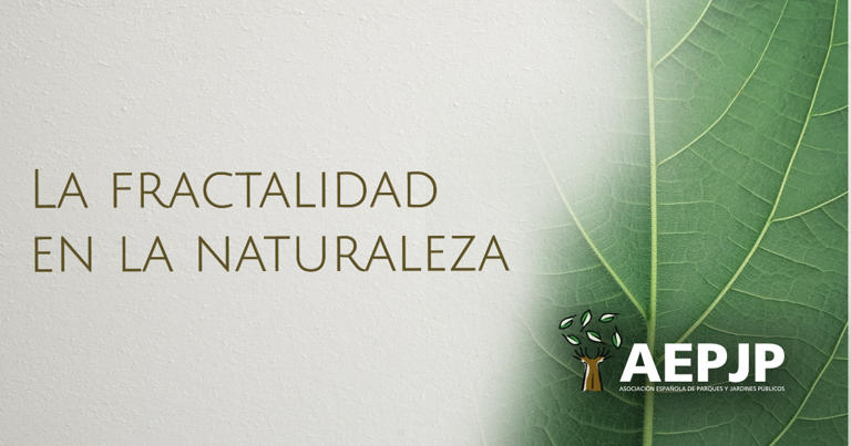 Frases célebres sobre la naturaleza y el medio ambiente: inspiración ...