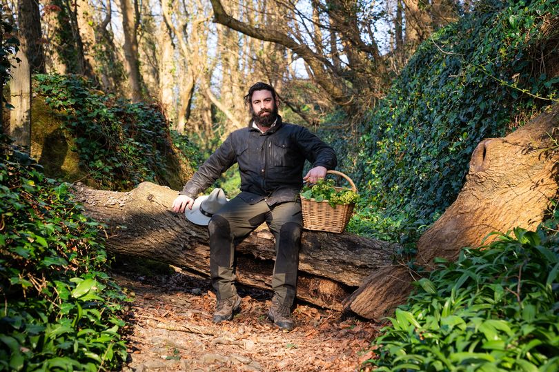 'I feed my family on food foraged in nature - it saves me £200 a month ...