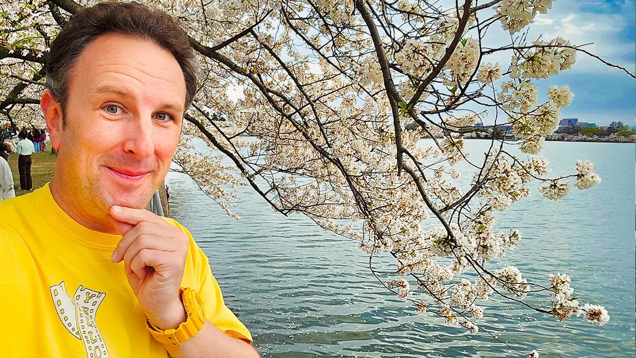 Everything You’ve Wanted to Know About Yellow Productions