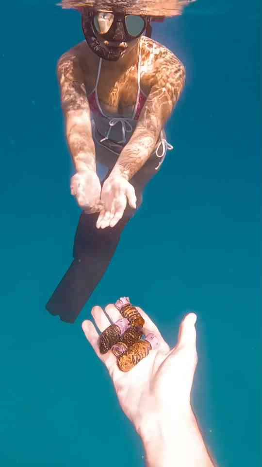 Hawaiian Electric Clean Up Efforts: Mopping The Ocean