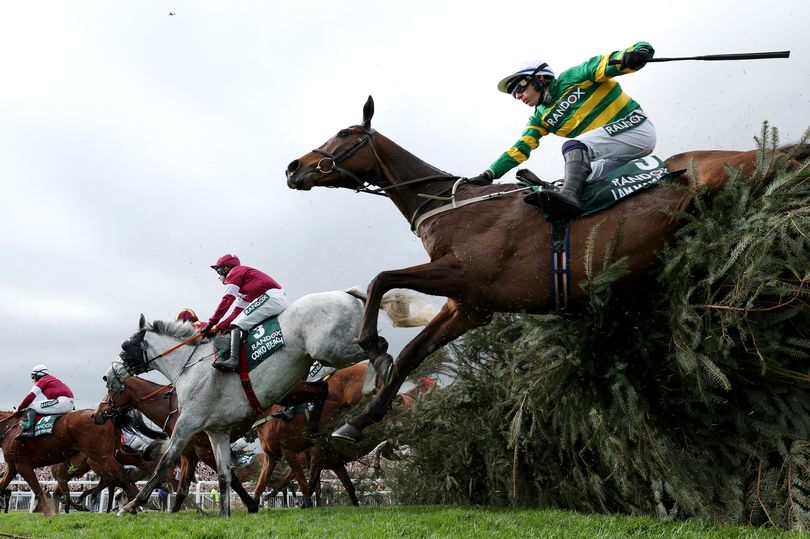 Grand National 2025 new confirmed runners list as big changes announced ...