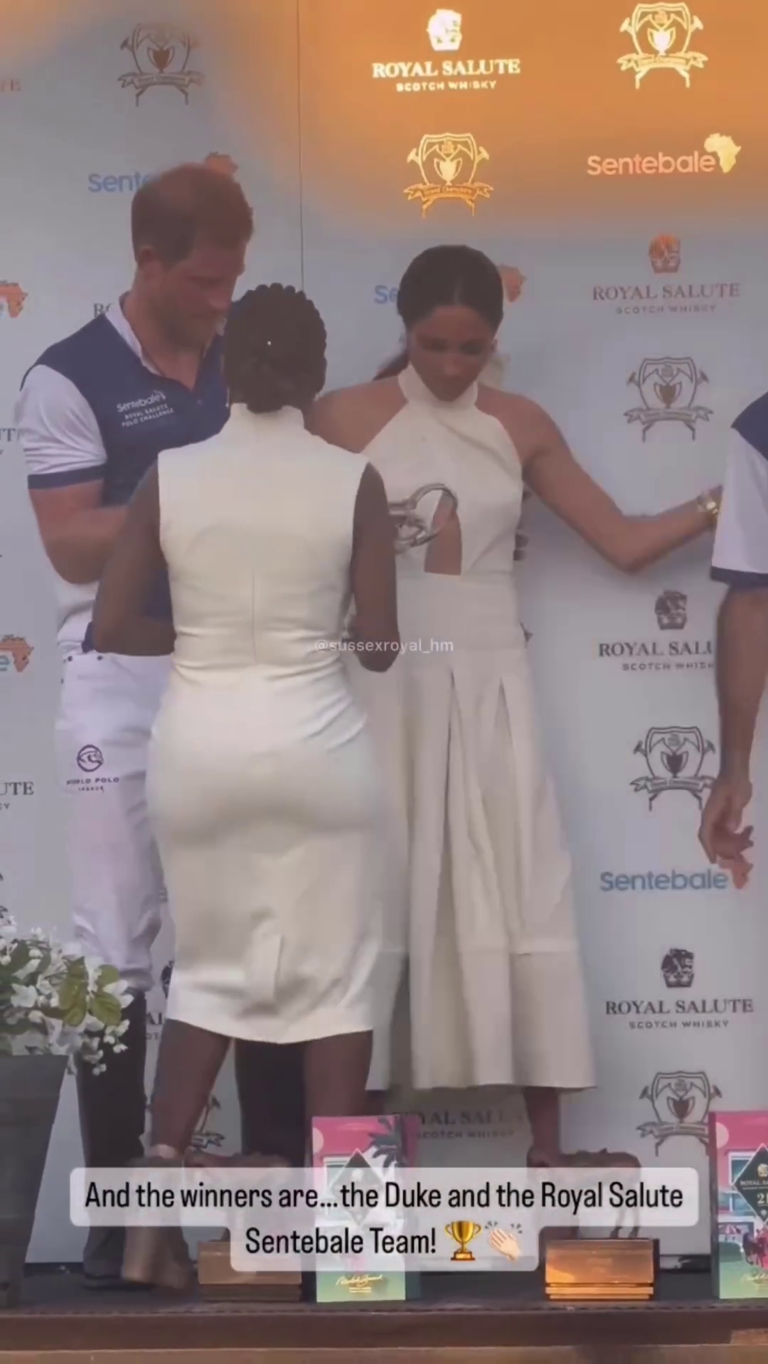 Who is Sophie Chandauka? Sentebale chair accuses Prince Harry of ...