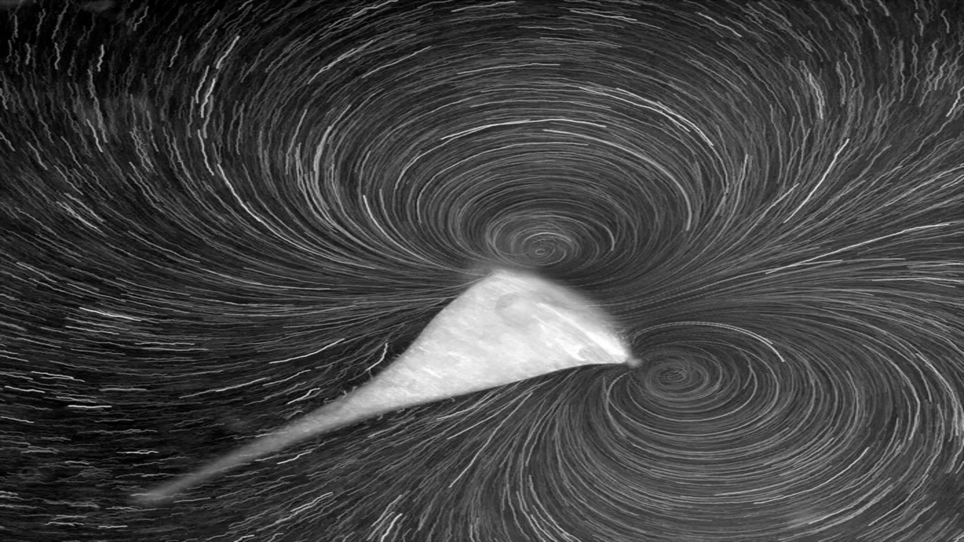 2.5 billion years ago hunger forced single cells into multicellular ...