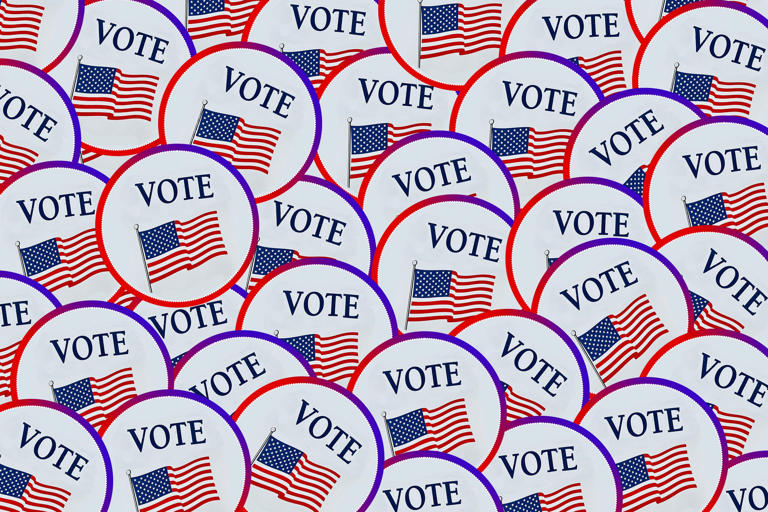 Wayne County election results 2025