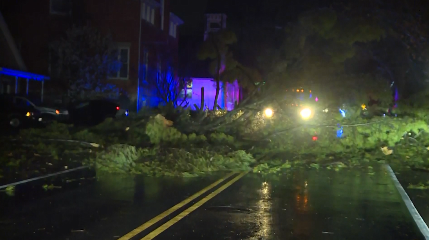 Warren County waking up to pine tree in roadway, damage to RV park ...