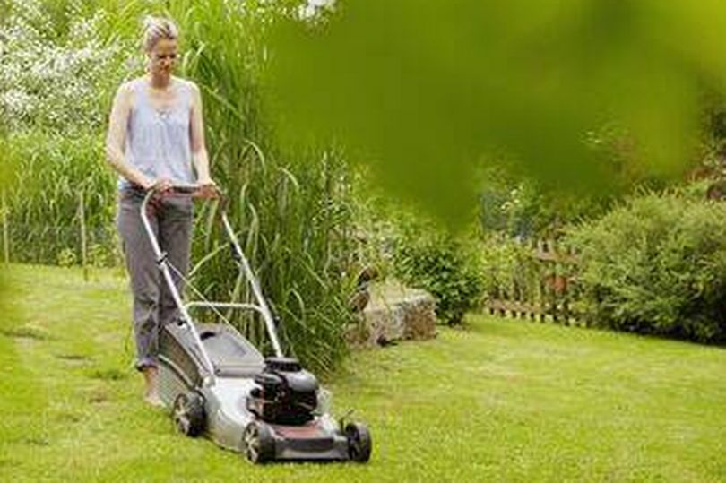'Important' task to carry out before summer to make lawn grow 'thicker ...