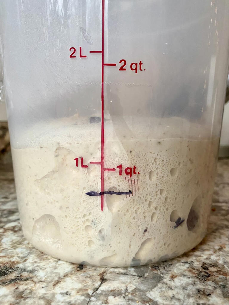 Kalamata Olive Sourdough Bread