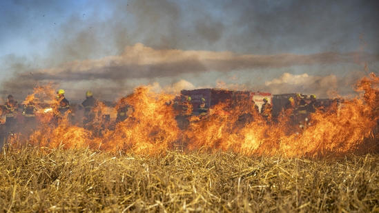 Silver Fire map, tracker and evacuation updates: Blaze grows to 1,000 ...