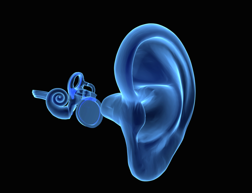 Physics Can Explain How the Inner Ear Picks Up Faint Sounds