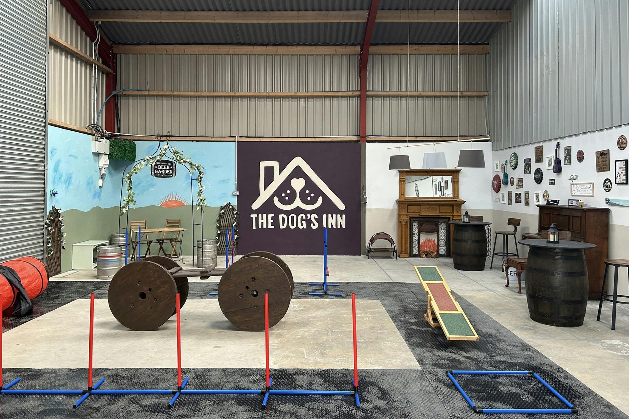 Paws and pints: Dog lovers are in for a treat as Northern Ireland's ...