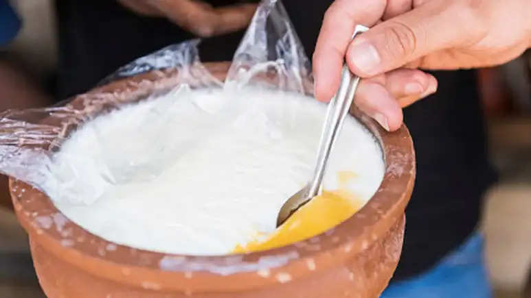 Avoid These 5 Food Combinations with Curd for Better Health and Skin