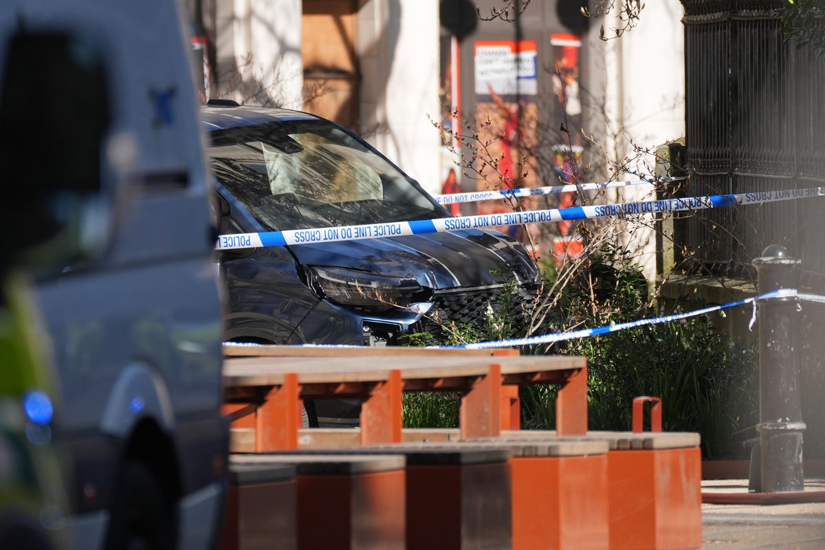 Woman killed as van crashes into group of people in central London