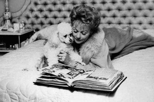 5 Times Lucille Ball Shared the Spotlight With Animals